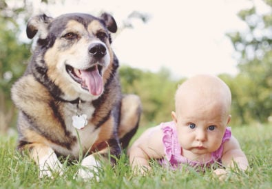 The Best Baby Bottles: Glass vs Plastic? (Mom's Guide 2017)